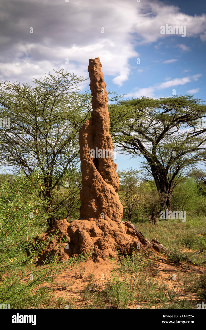 Termite colony hi-res stock photography and images - Alamy
