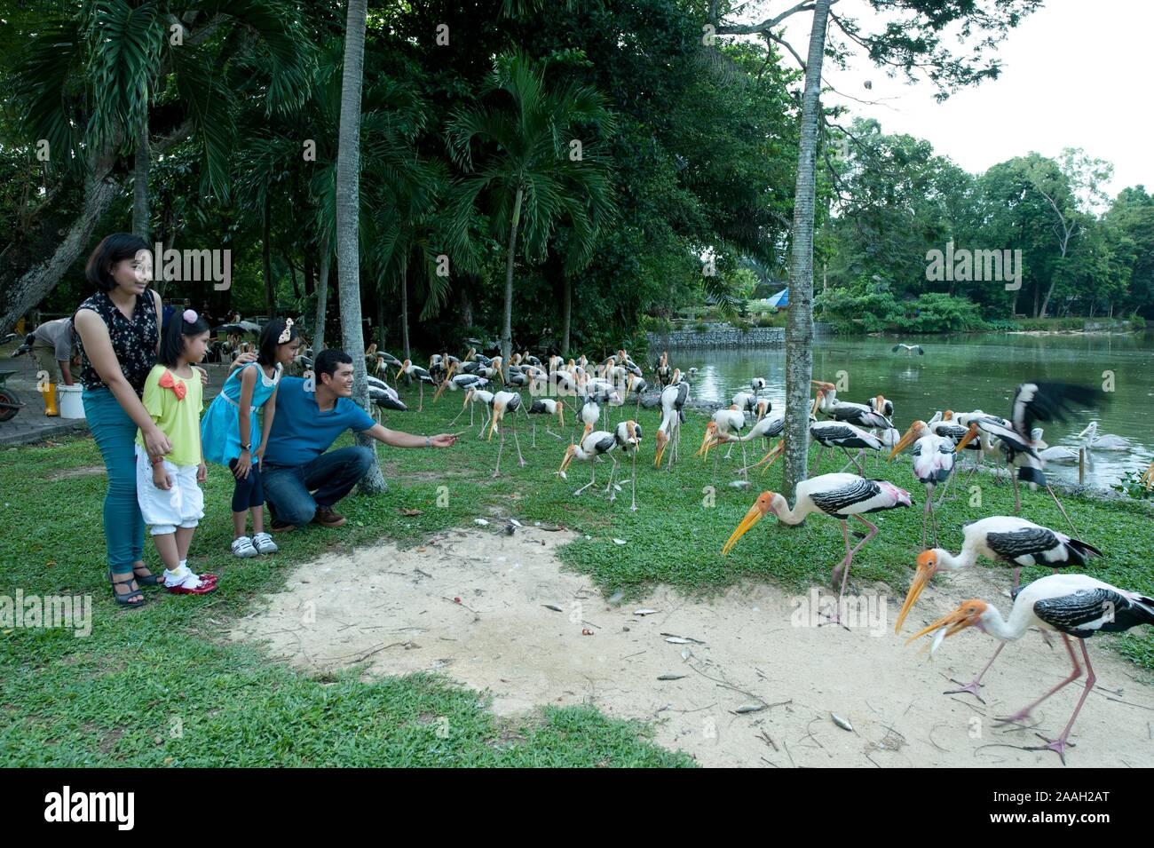 Zoo negara malaysia hi-res stock photography and images - Alamy