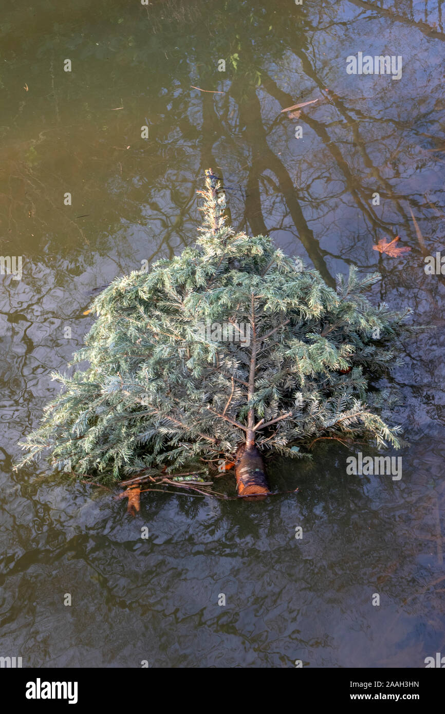 Vandalized tree hi-res stock photography and images - Alamy