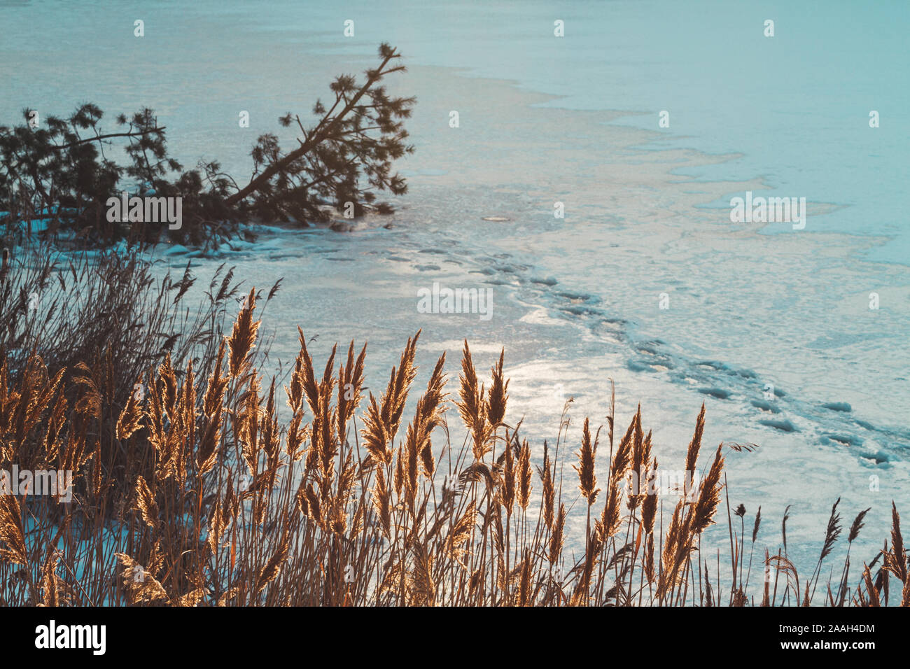 Light footprint hi-res stock photography and images - Alamy