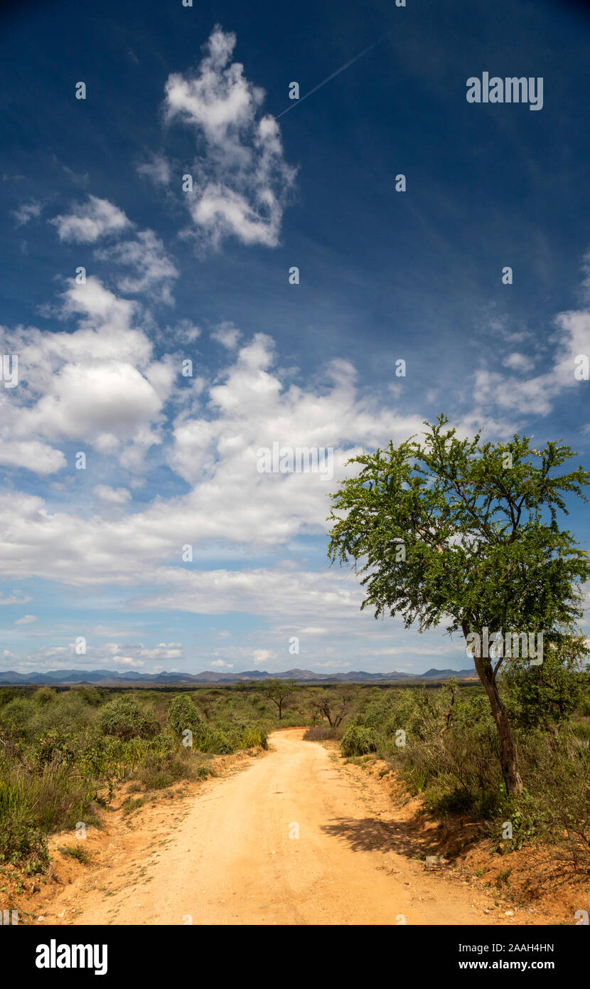 Road through bush road through bush hi-res stock photography and images ...