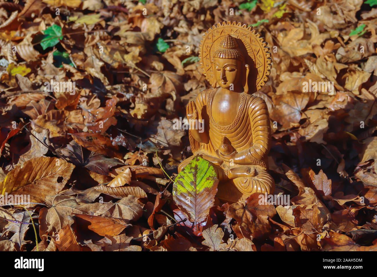 Wooden statue of Buddha in forest, Buddhism and Hindu symbol, namaste ...