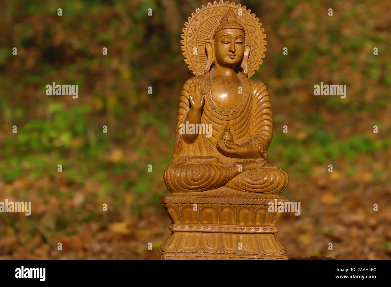 Wooden statue of Buddha in forest, Buddhism and Hindu symbol, namaste ...