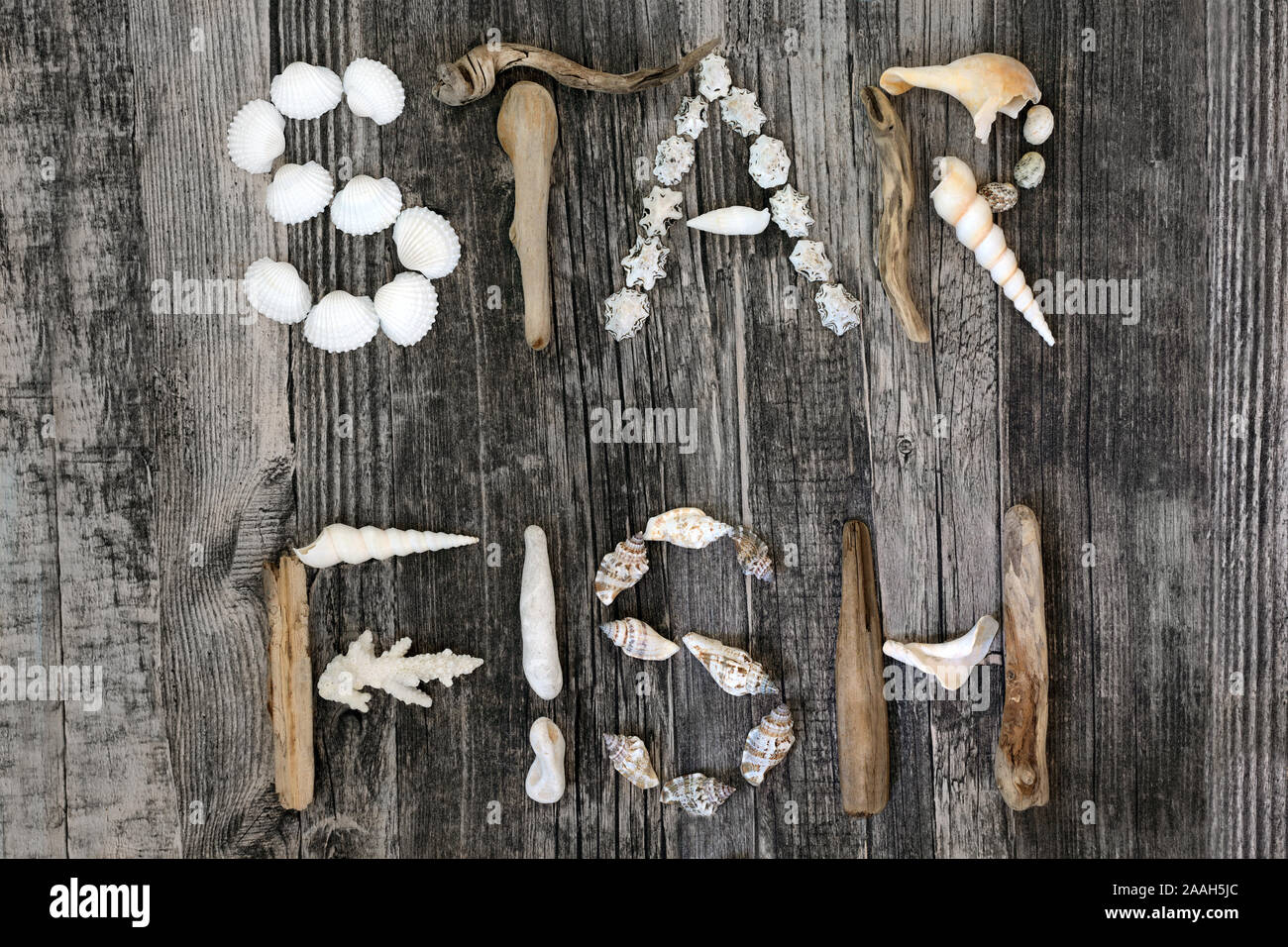 Abstract of driftwood, seashells and pebbles forming the word starfish ...