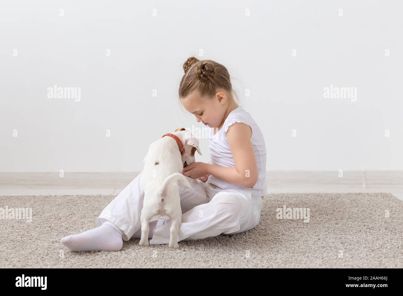 Pet, children and animal concept - Charming child girl sitting on the ...