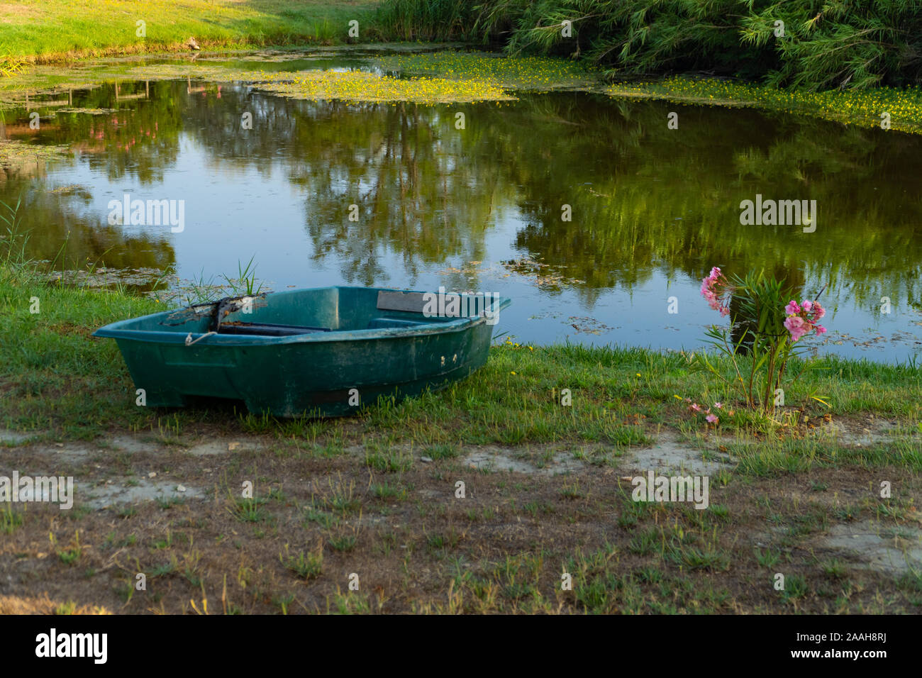Green rowing boat hi-res stock photography and images - Alamy