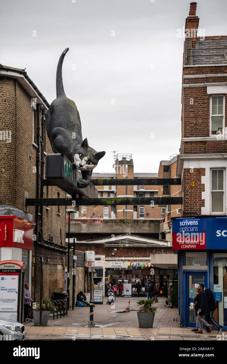 Catford cat hi-res stock photography and images - Alamy