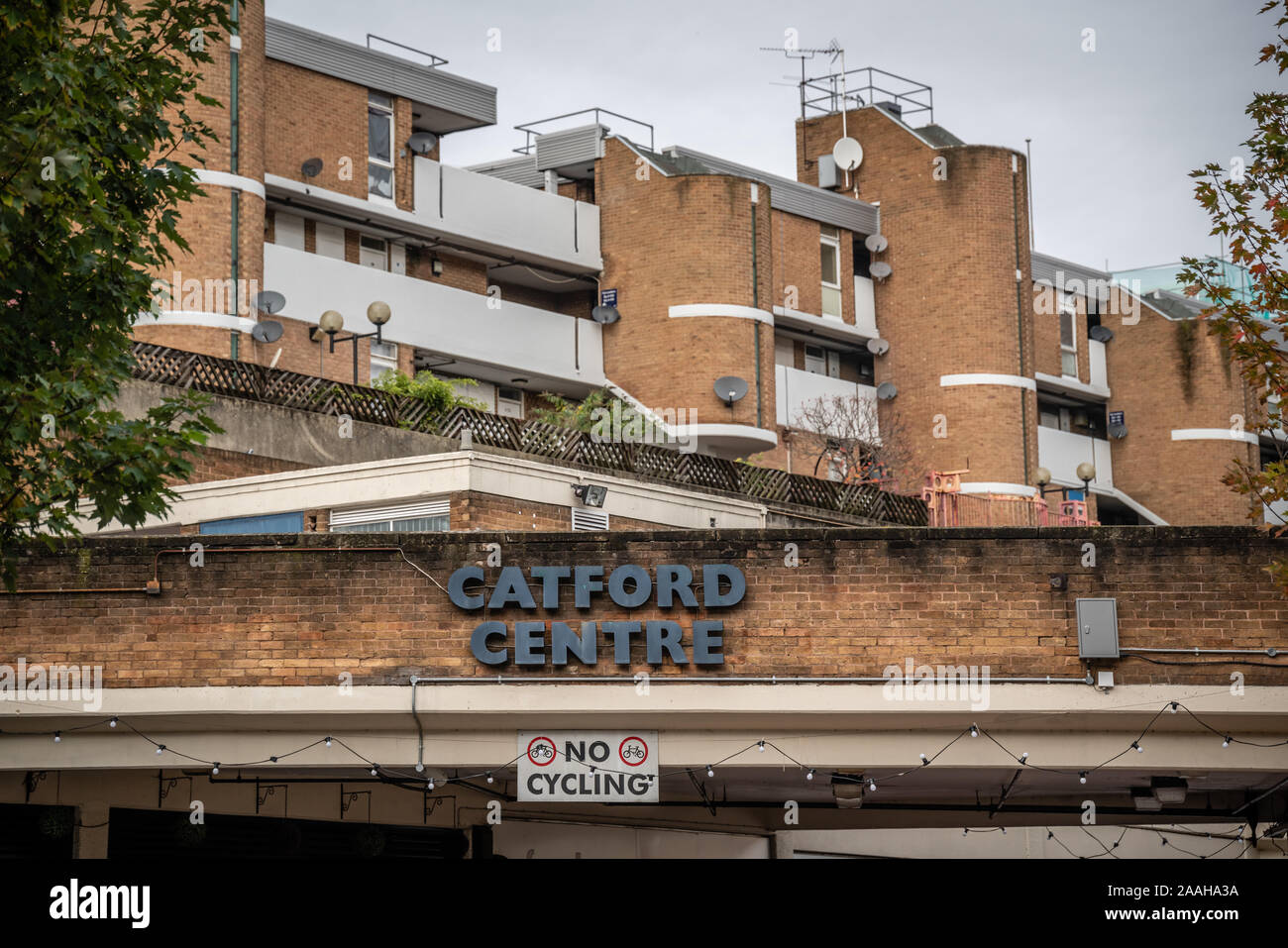 Catford cat hi-res stock photography and images - Alamy