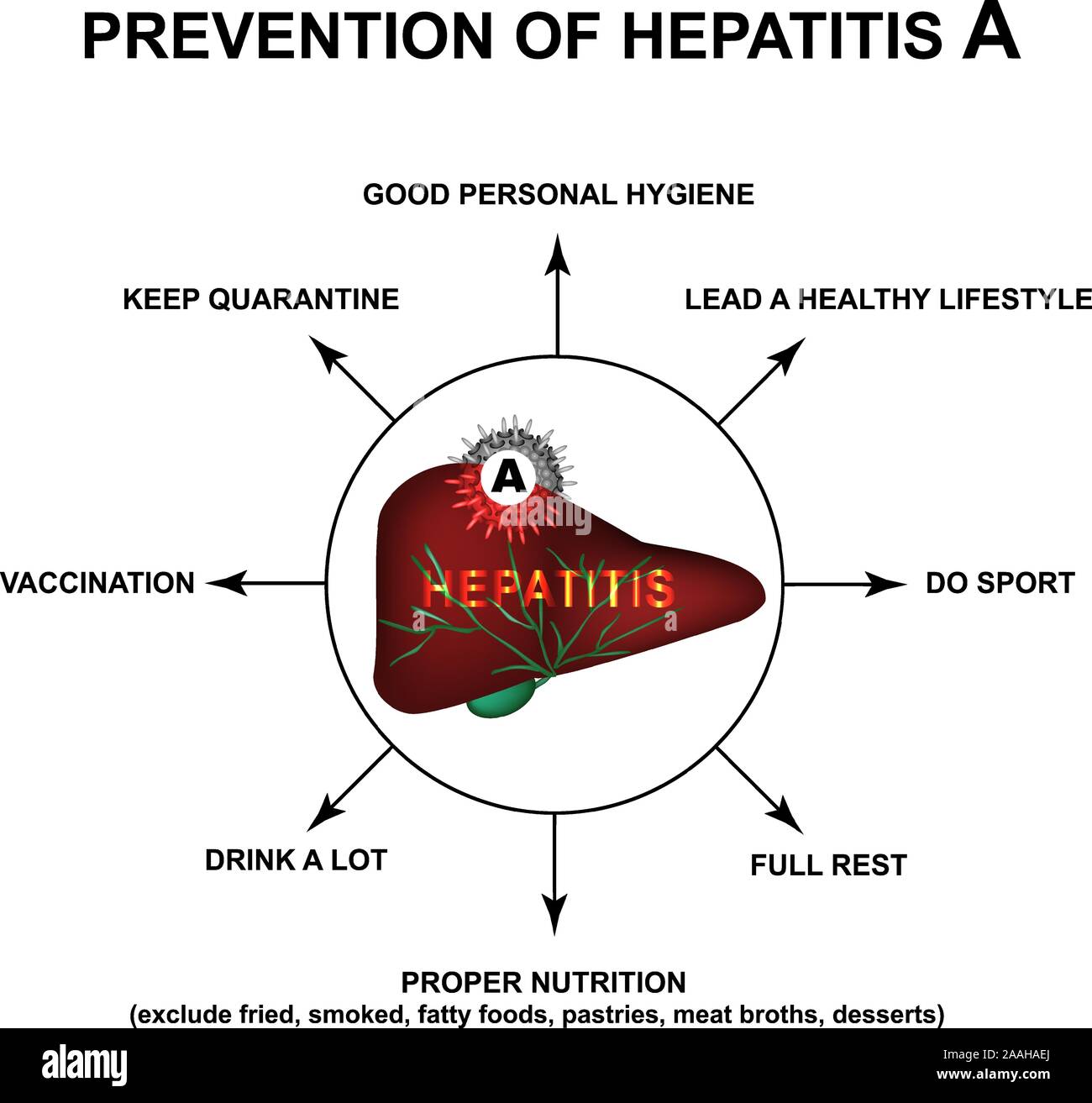 Prevention of Hepatitis A. World Hepatitis Day. Infographics. Vector illustration on isolated ...