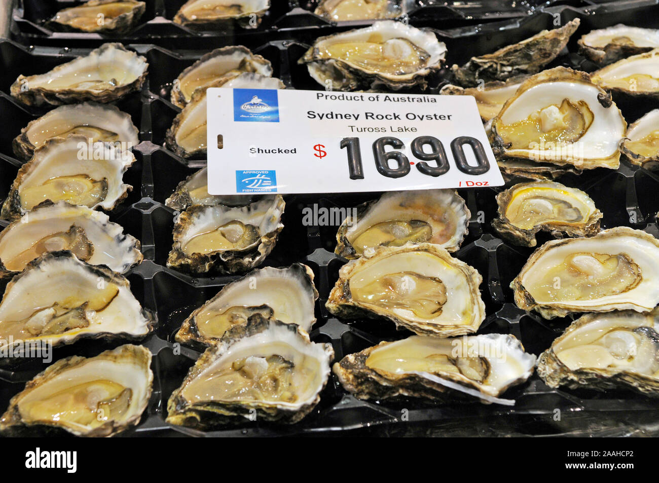 frische austern auf dem sydney fisch markt Stock Photo - Alamy