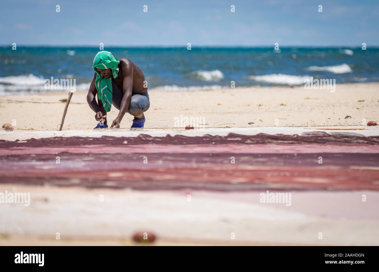 Chambo fish hi-res stock photography and images - Alamy