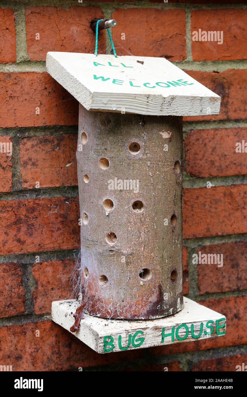 Bug house hi-res stock photography and images - Alamy