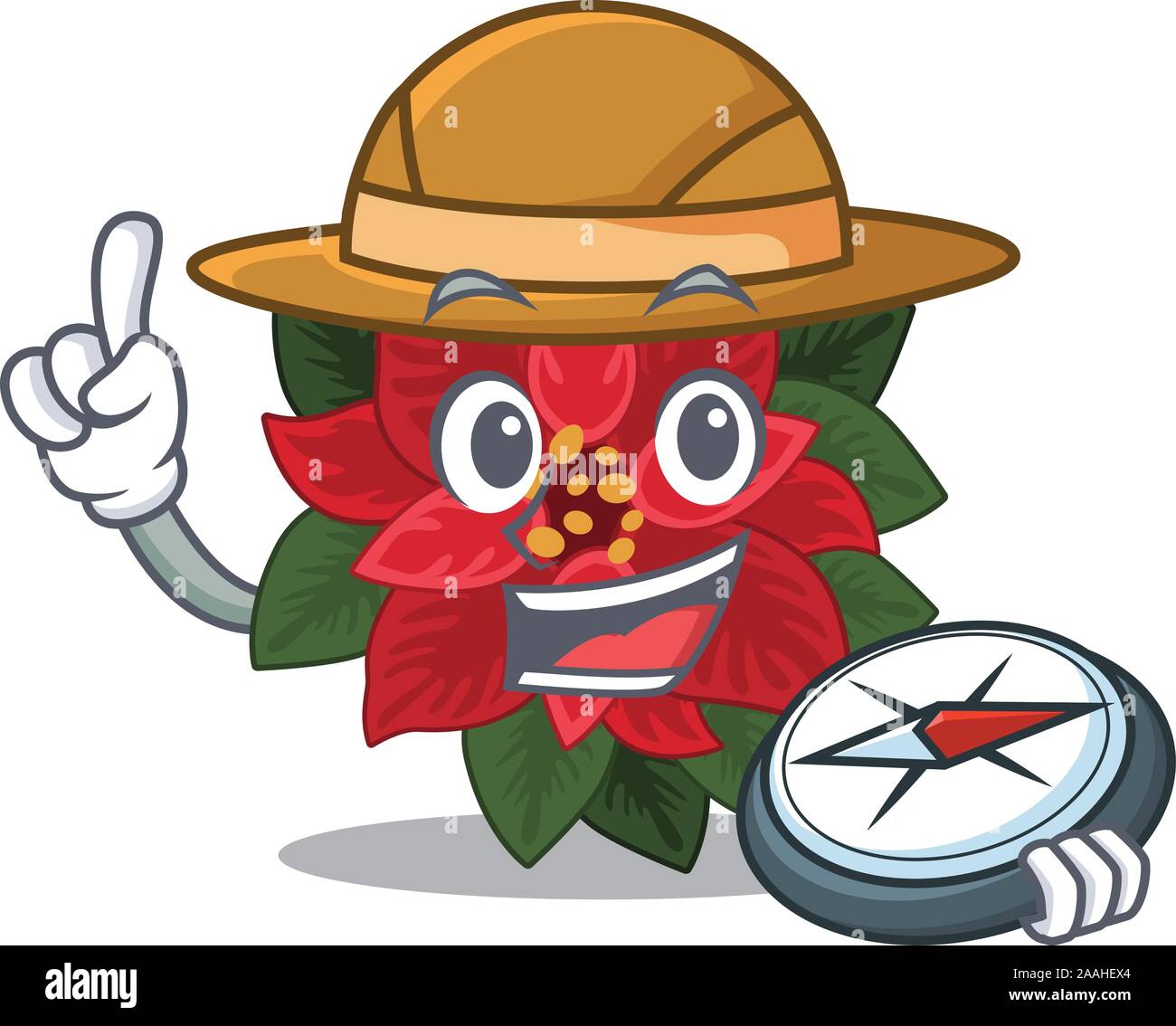 Explorer flower poinsettia cartoon character holding a compass Stock ...