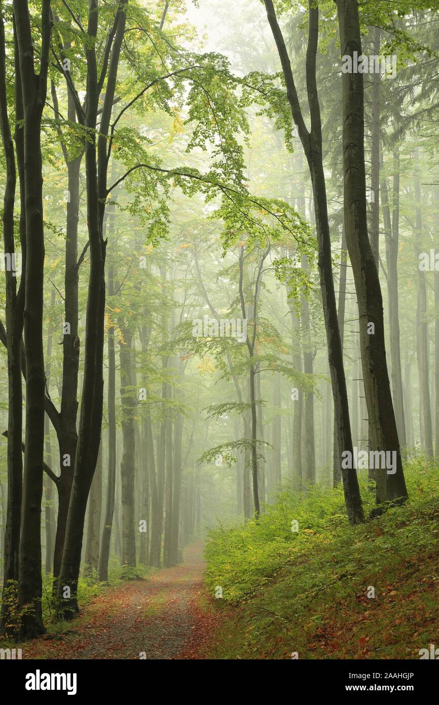 Mist into the distance hi-res stock photography and images - Alamy