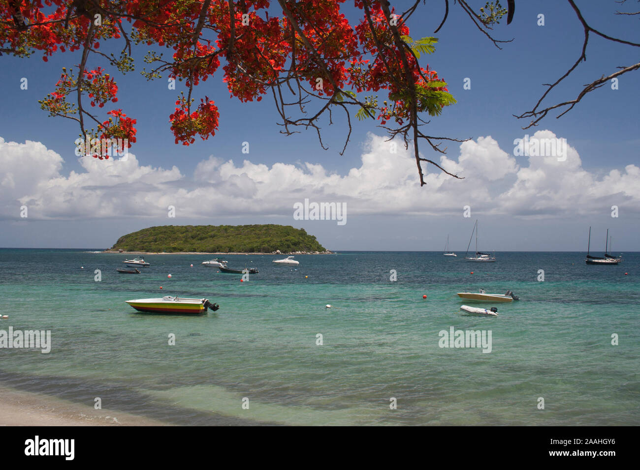 Puerto rico bay hi-res stock photography and images - Alamy