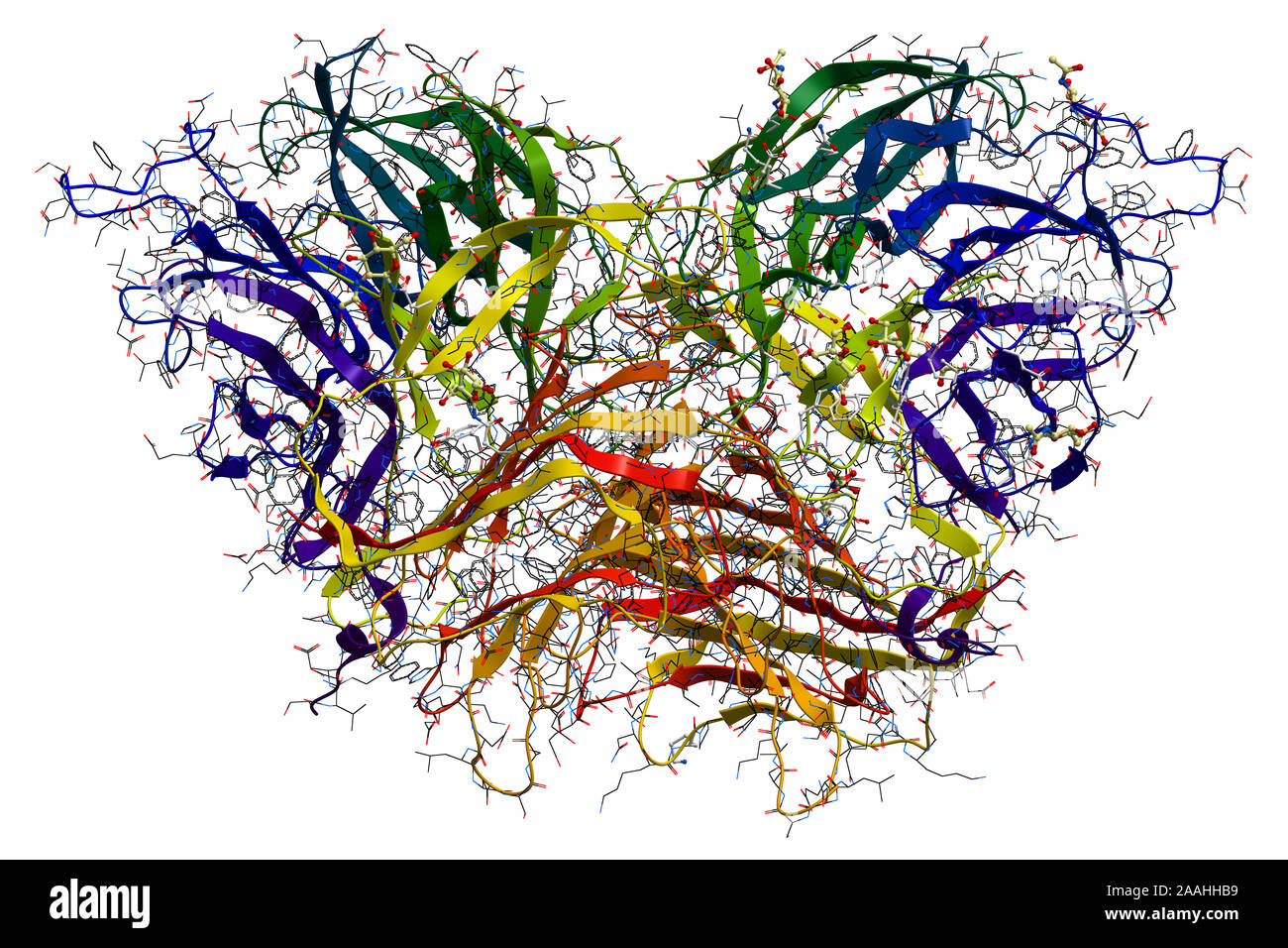 Invertase, an enzyme that catalyzes the hydrolysis (breakdown) of ...