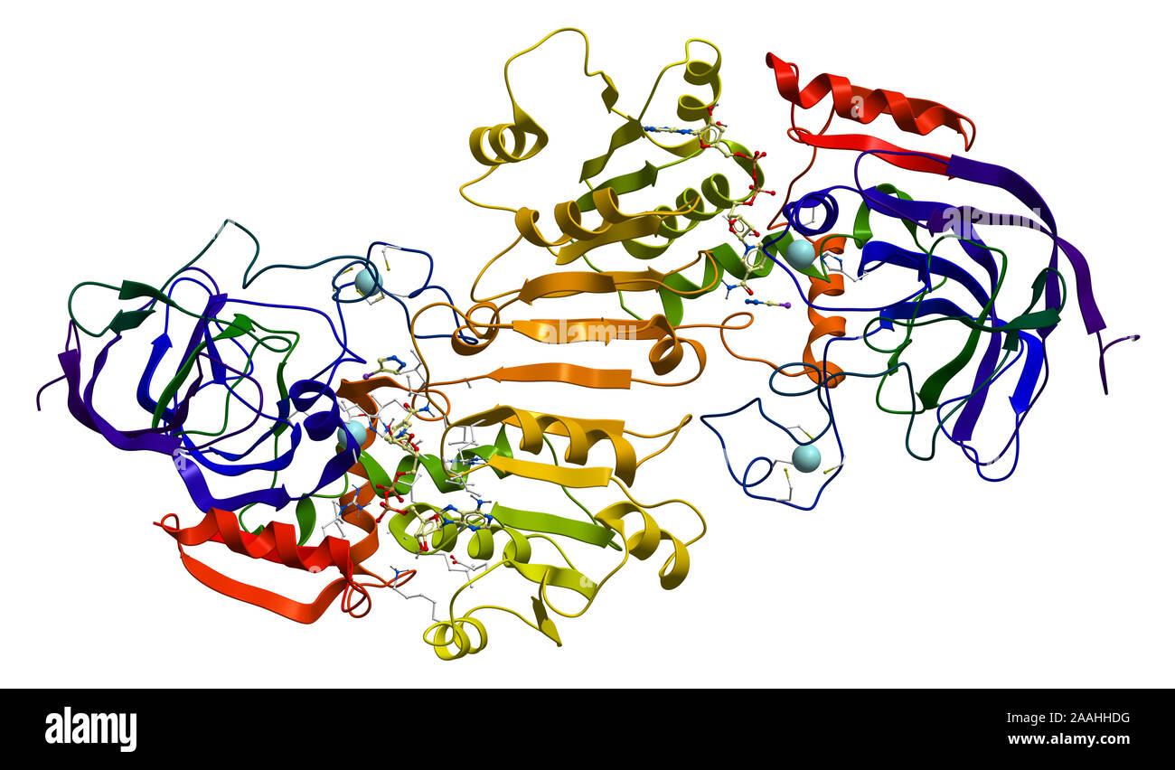 Amino acid conversion hi-res stock photography and images - Alamy