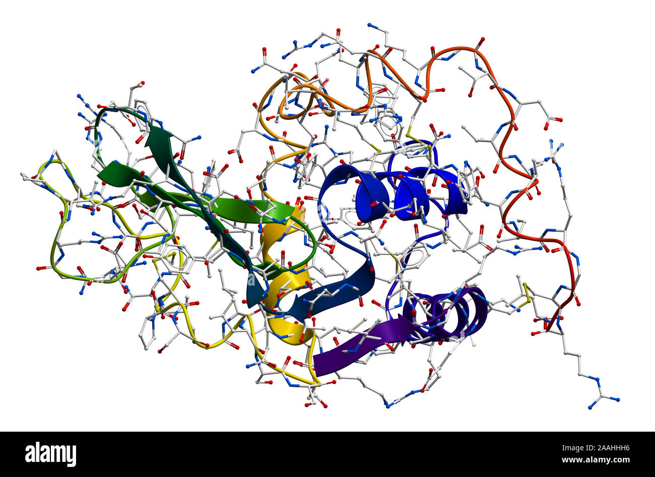 Lysozyme Molecule Cut Out Stock Images And Pictures Alamy