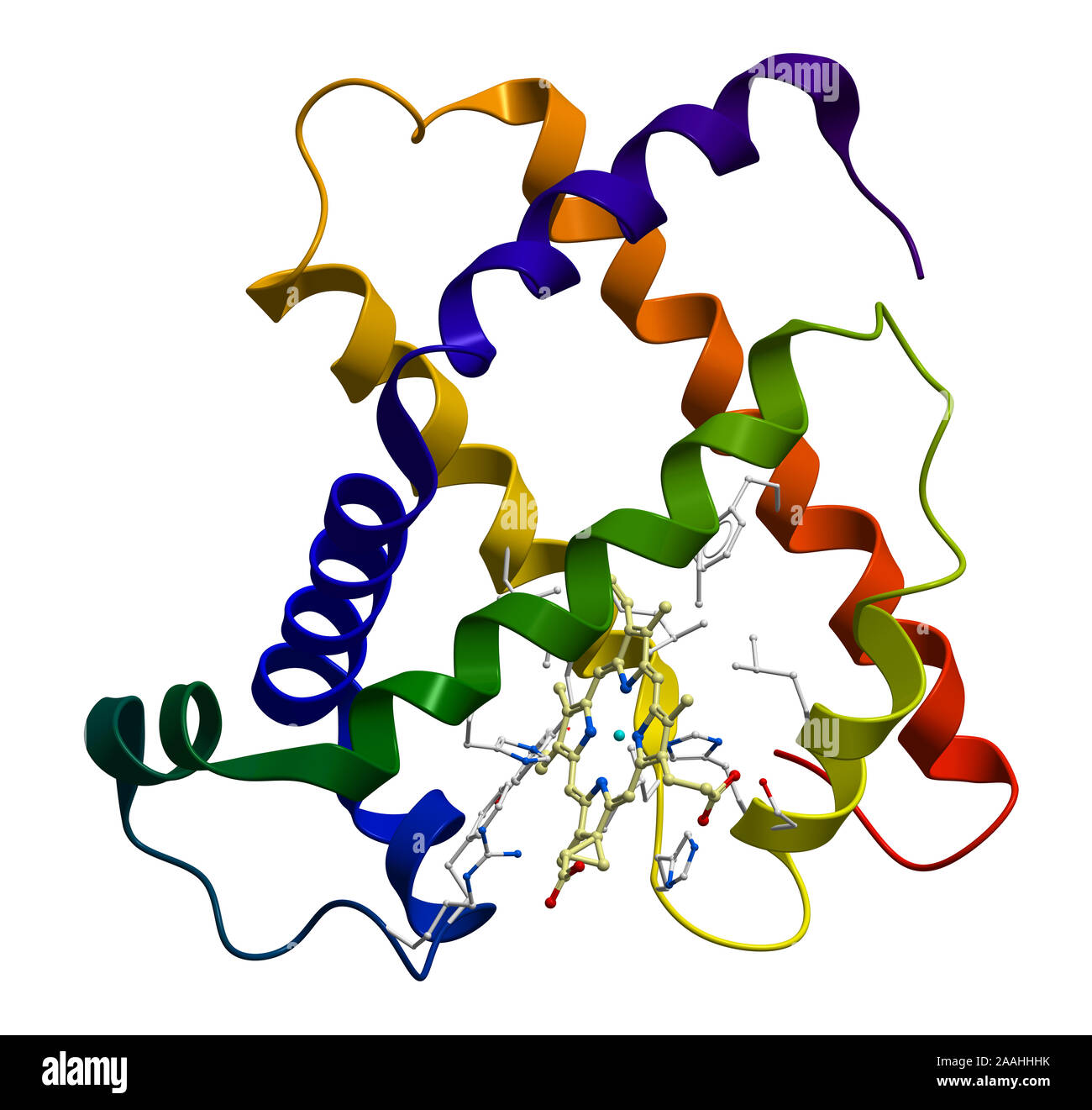Protein Structure Clipart