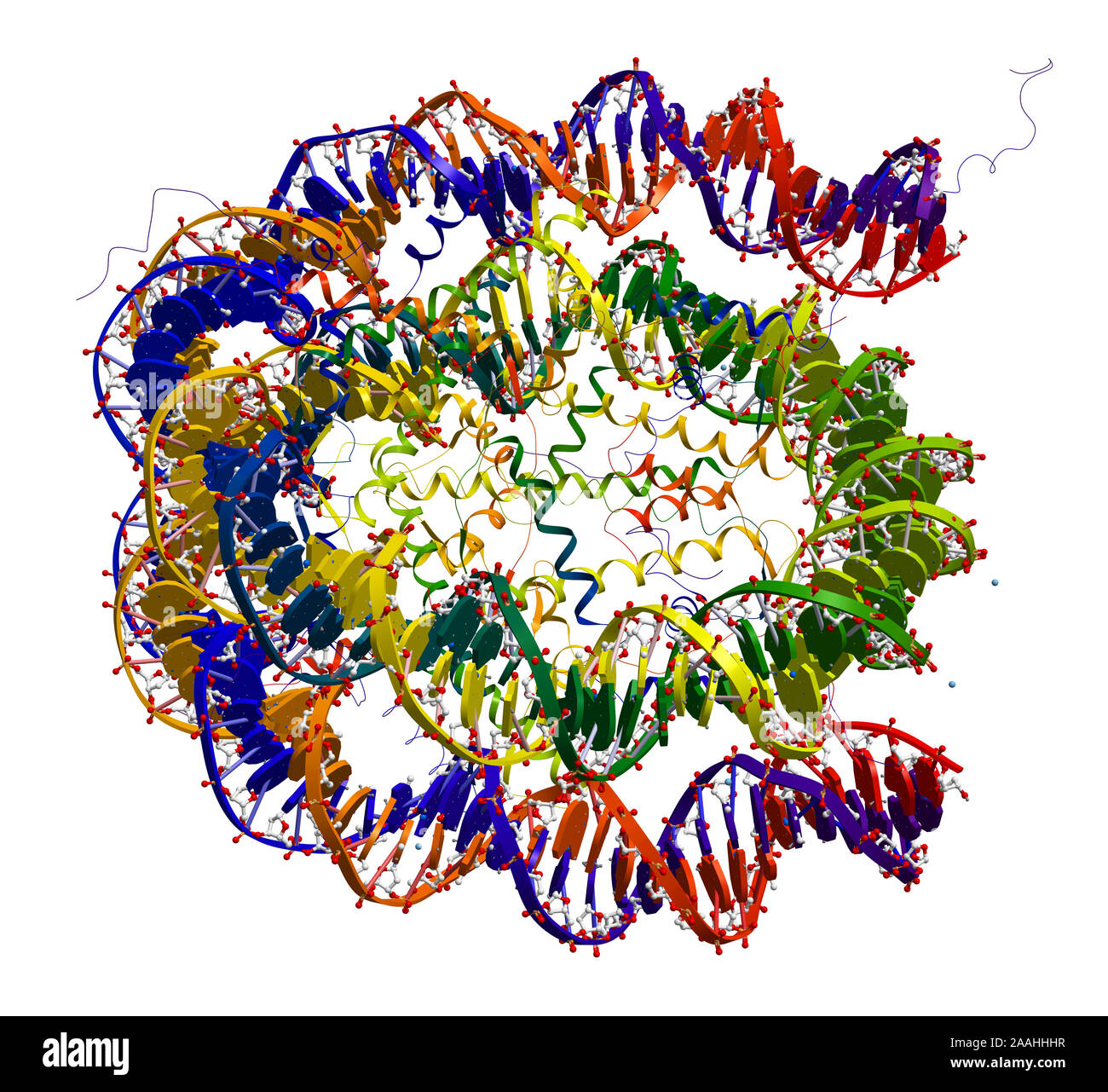 Nucleosome structure hi-res stock photography and images - Alamy
