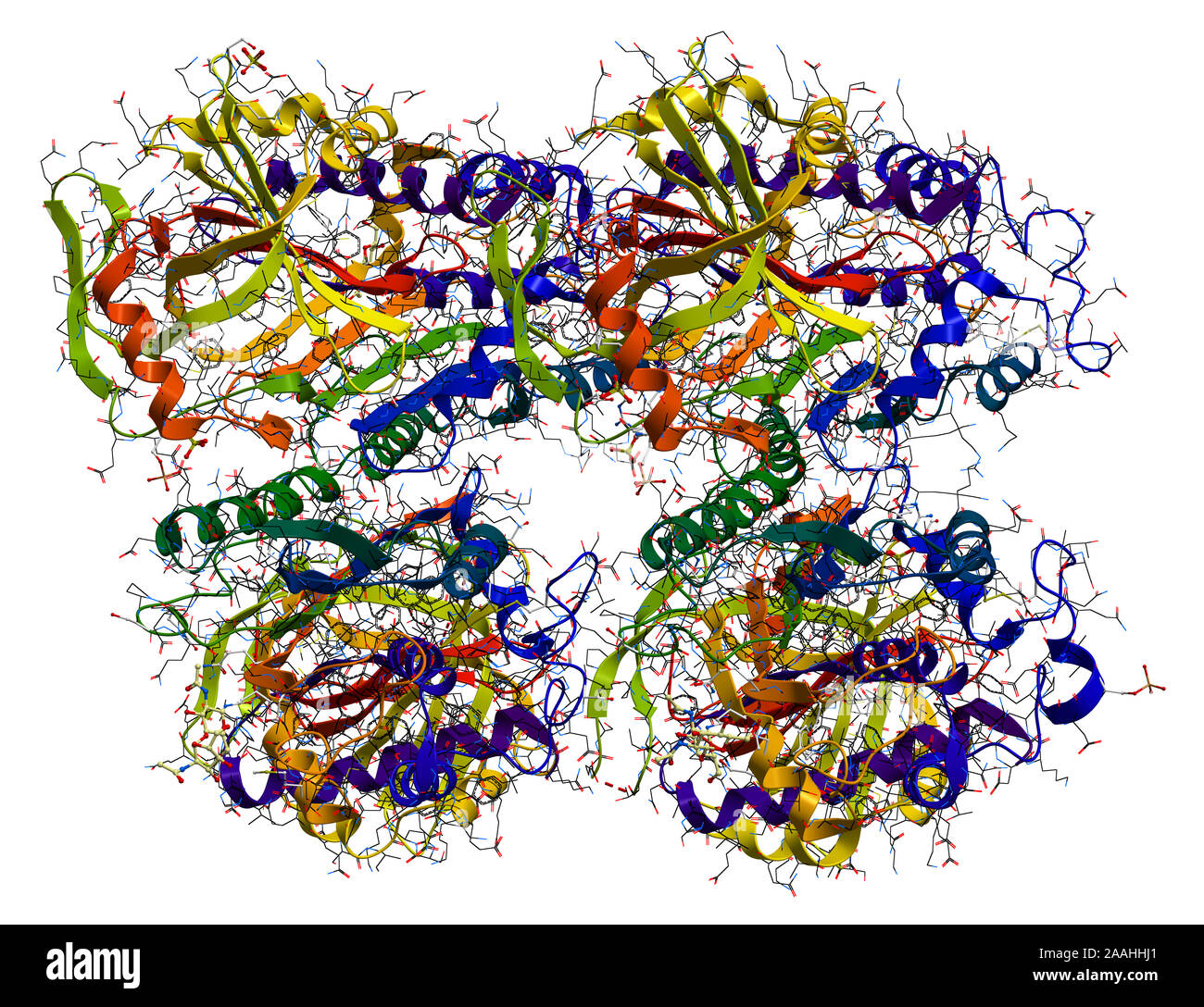 Ovalbumin, the main protein of egg white Stock Photo - Alamy