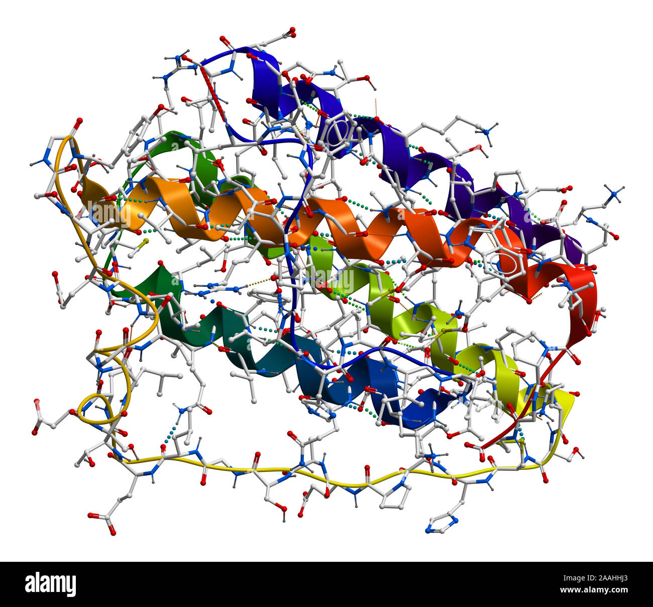 Leptin, the human obesity protein Stock Photo - Alamy