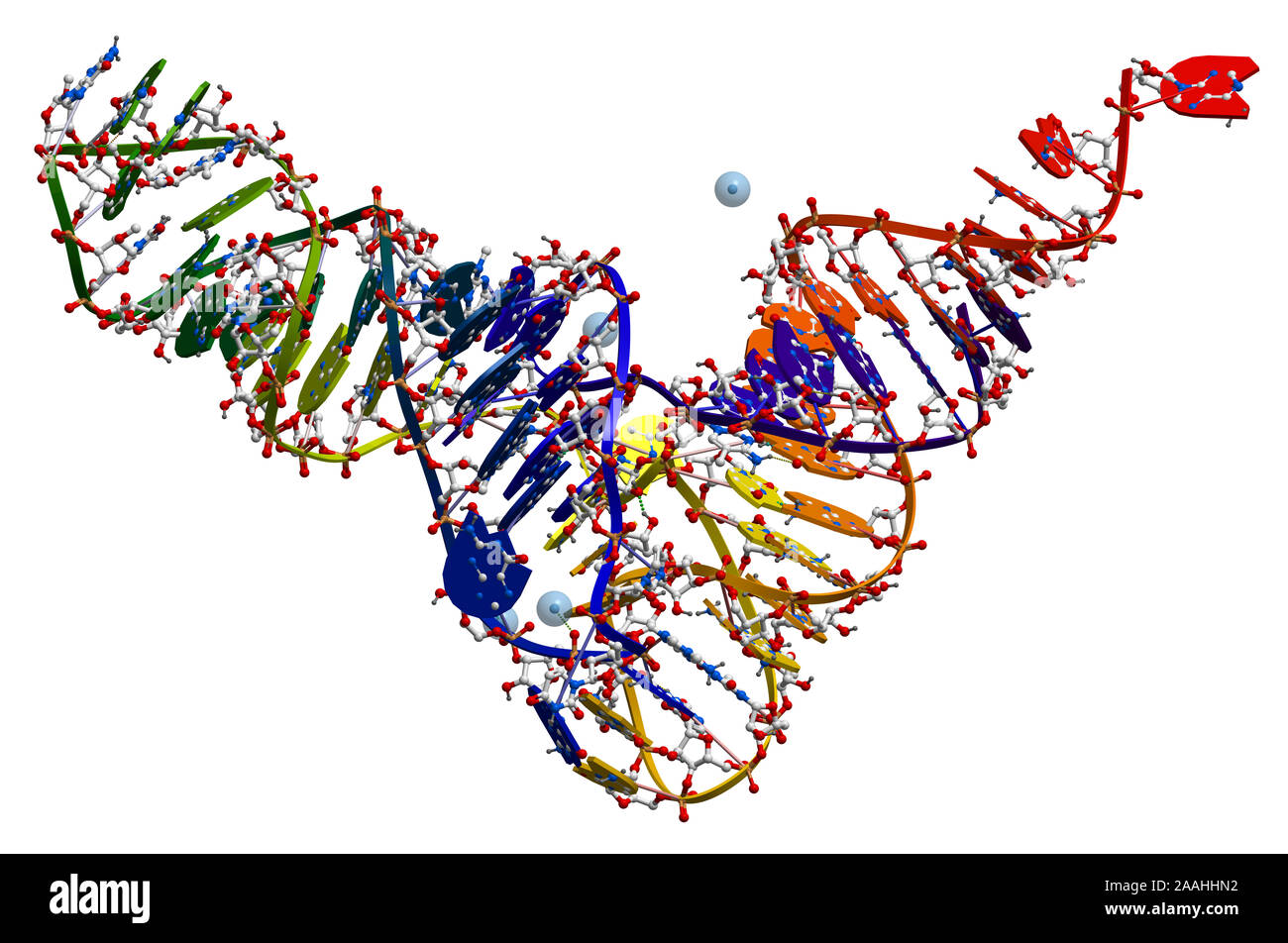 Transfer rna hi-res stock photography and images - Alamy