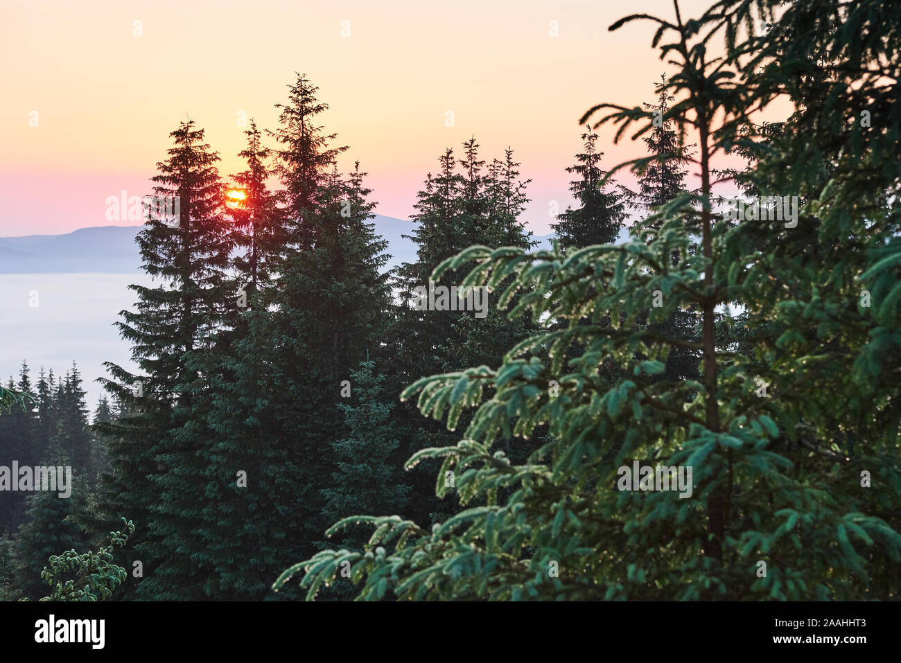 Sunset in the mountains landscape. Dramatic sky. Carpathian of Ukraine ...