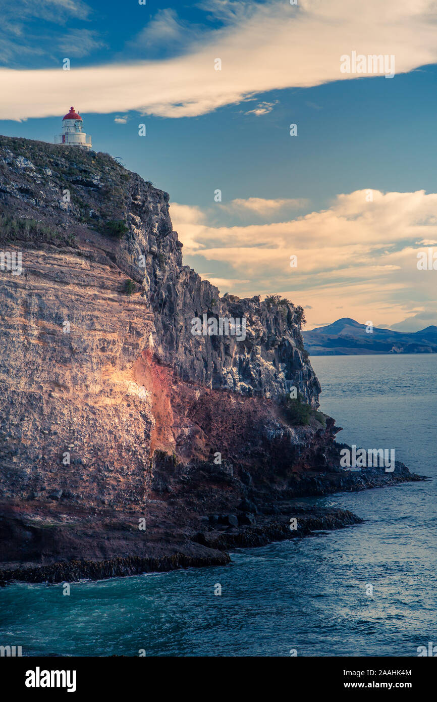 Lighthouse taiaroa head hi-res stock photography and images - Alamy