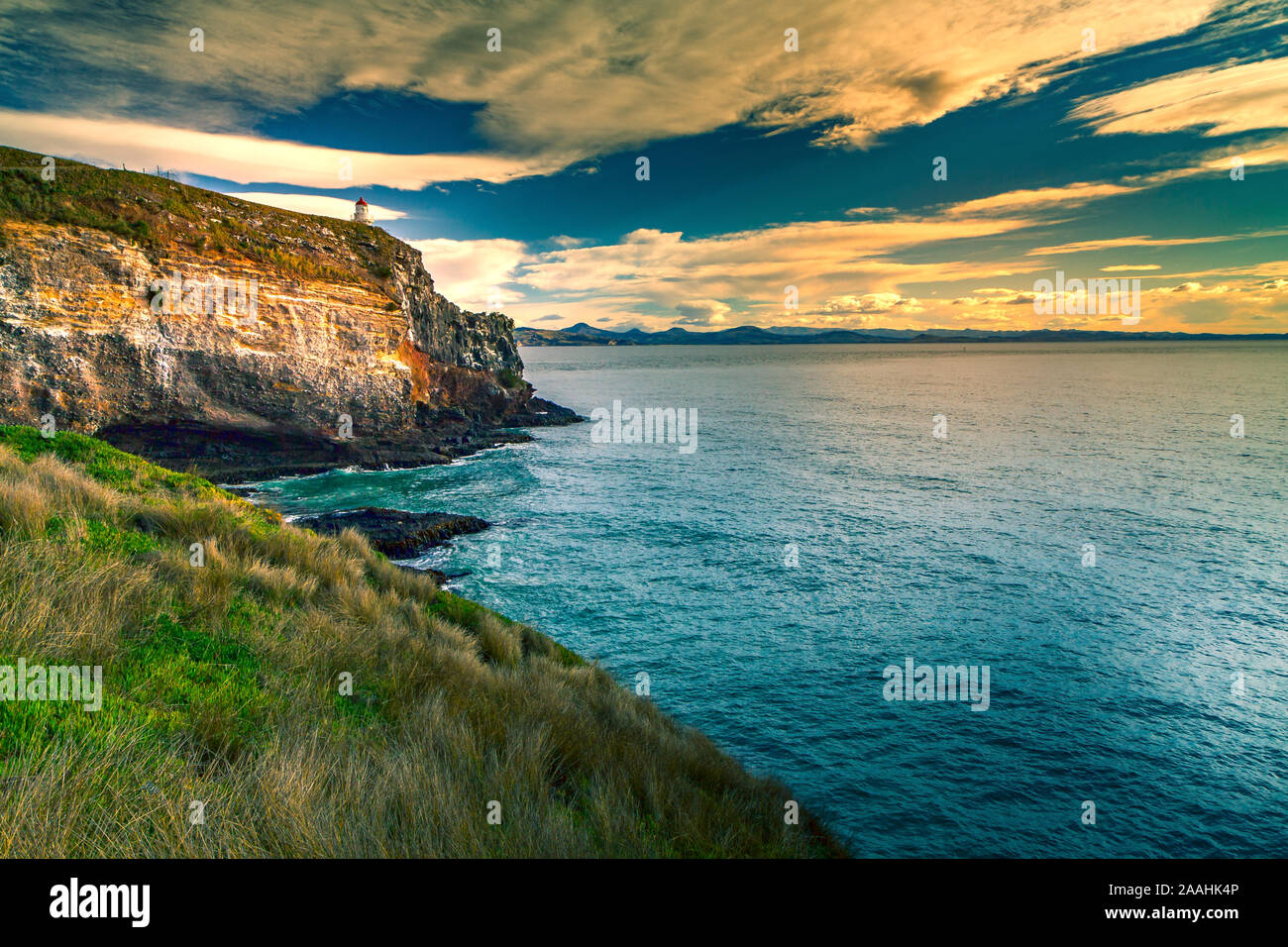 Lighthouse taiaroa head hi-res stock photography and images - Alamy