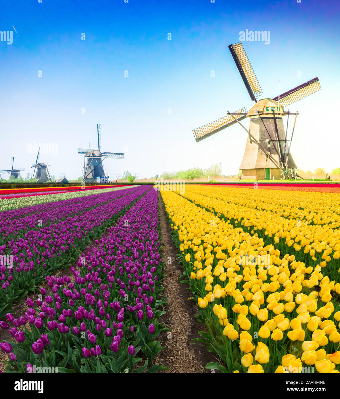 dutch windmill over river waters Stock Photo - Alamy