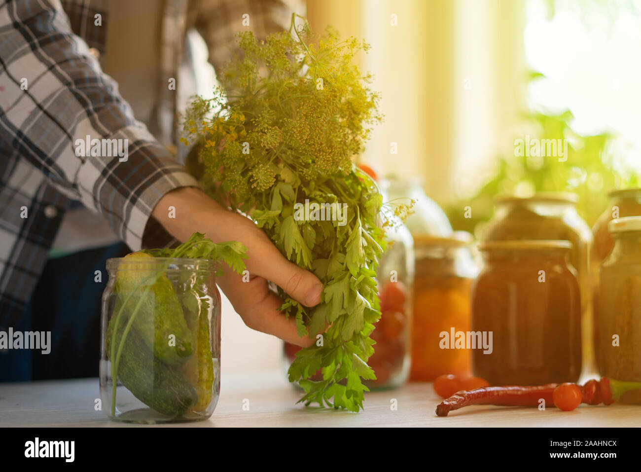 Cucumber pickle process hi-res stock photography and images - Alamy