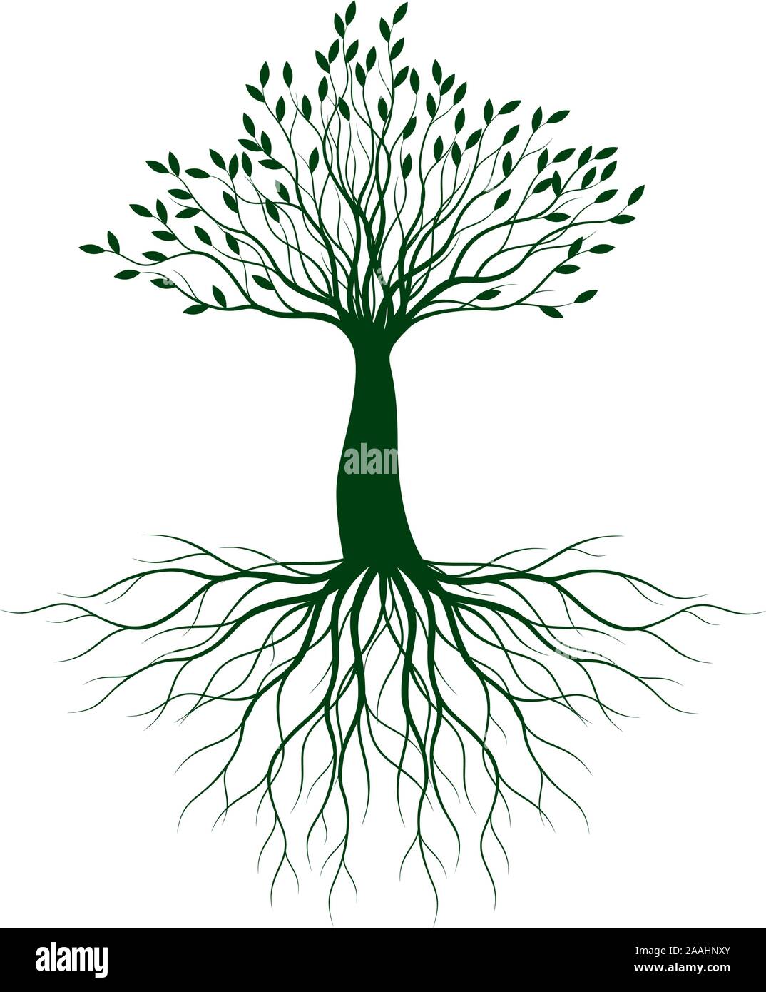 Green Tree with Leaves and Roots. Vector outline Illustration on white ...