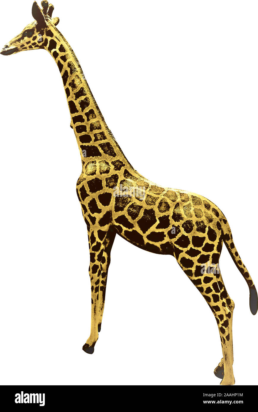 Black And White Giraffe Picture High Resolution Stock Photography and ...