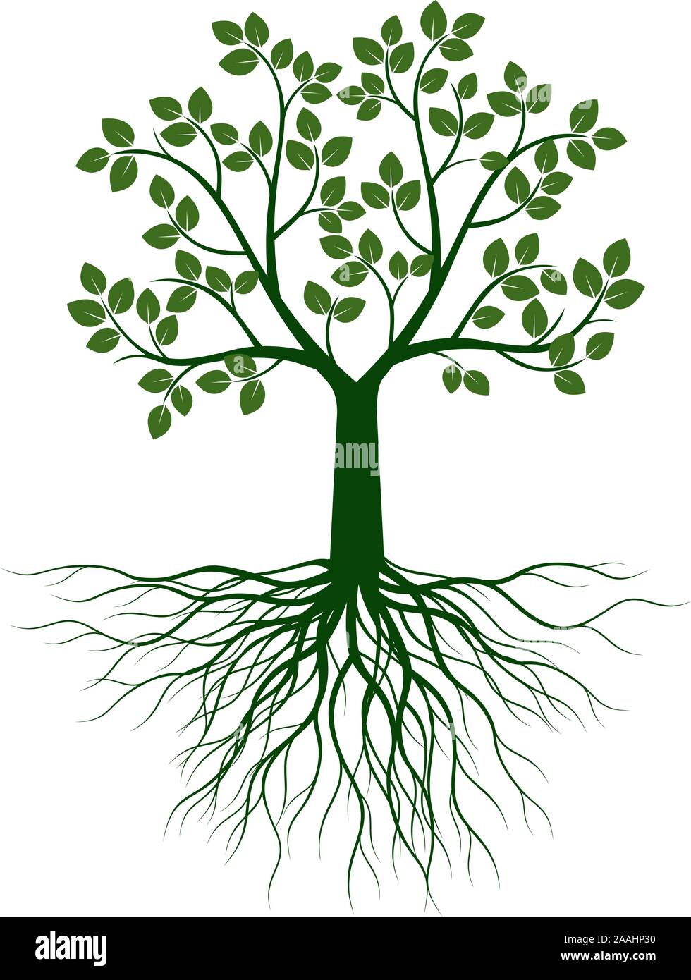 Tree With Roots And Leaves