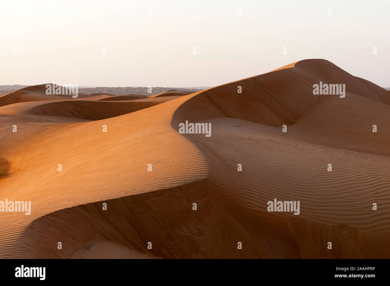 Sand dunes, Wahiba Sands desert, Oman Stock Photo - Alamy