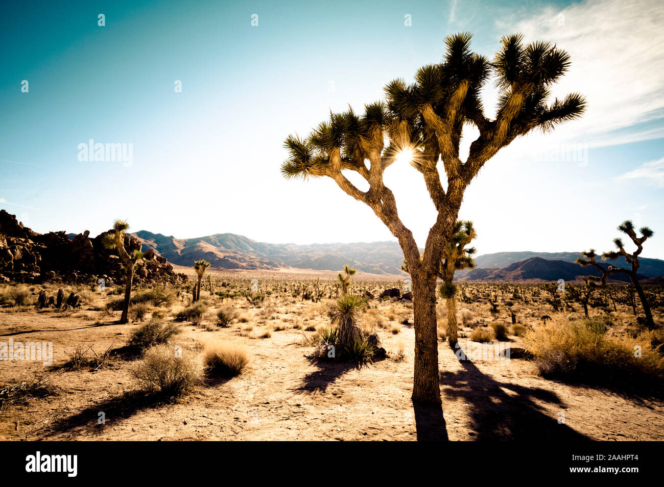 Usa hidden valley hi-res stock photography and images - Alamy