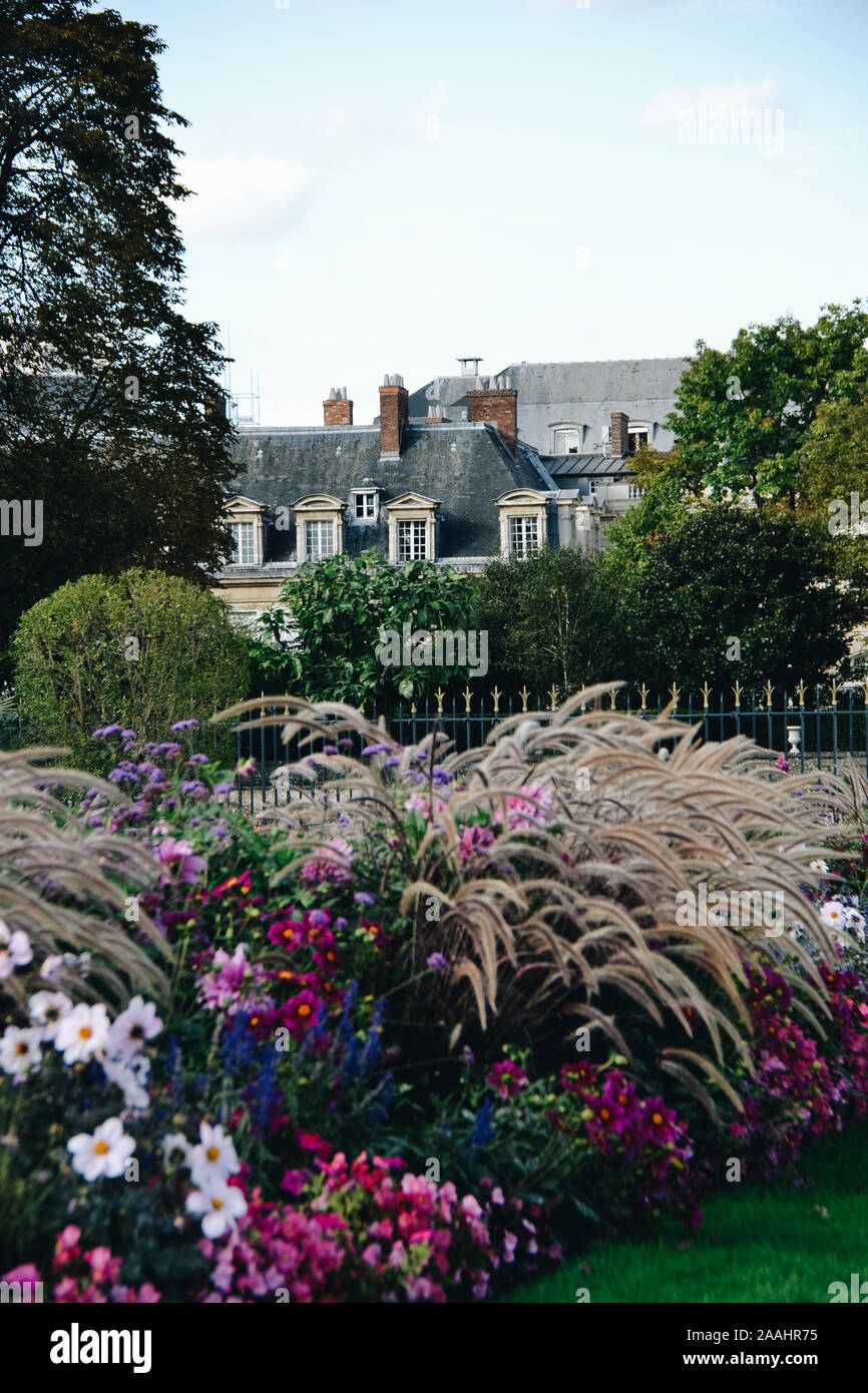 Flowers in the Luxembourg Gardens with a french building in the ...