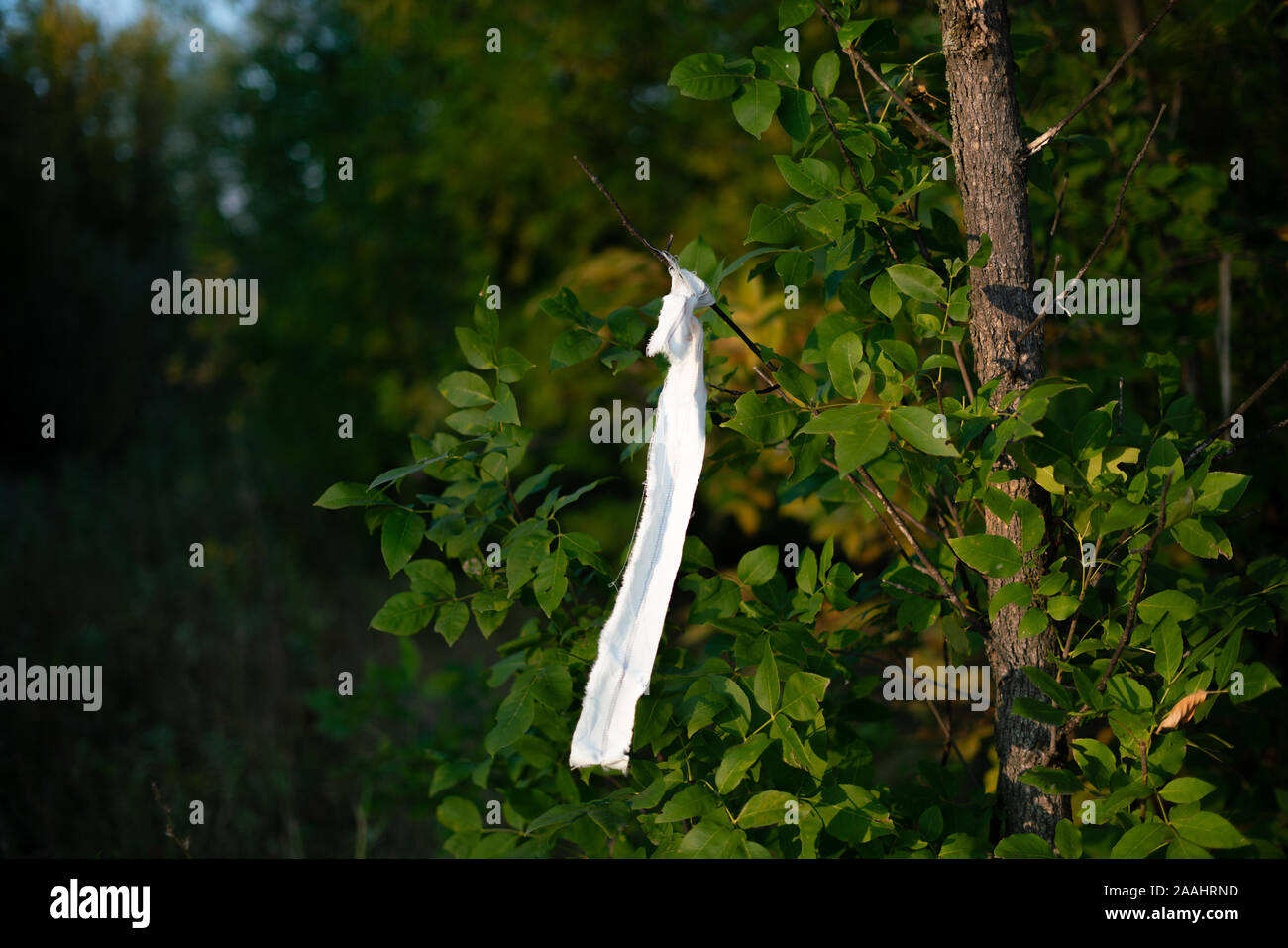 mark for tourist train hanging and waving on the tree branch to show ...