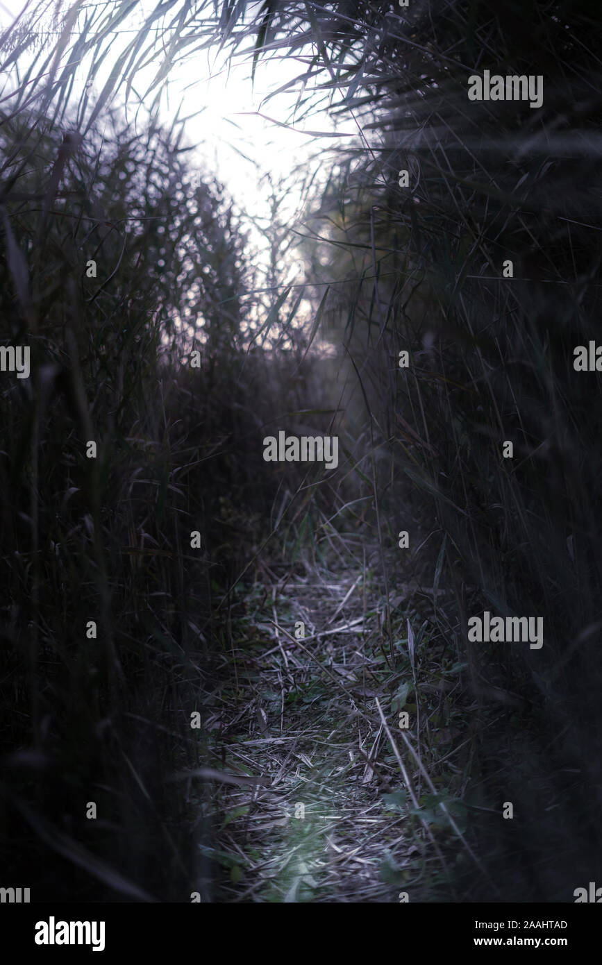 Lighten our darkness hi-res stock photography and images - Alamy