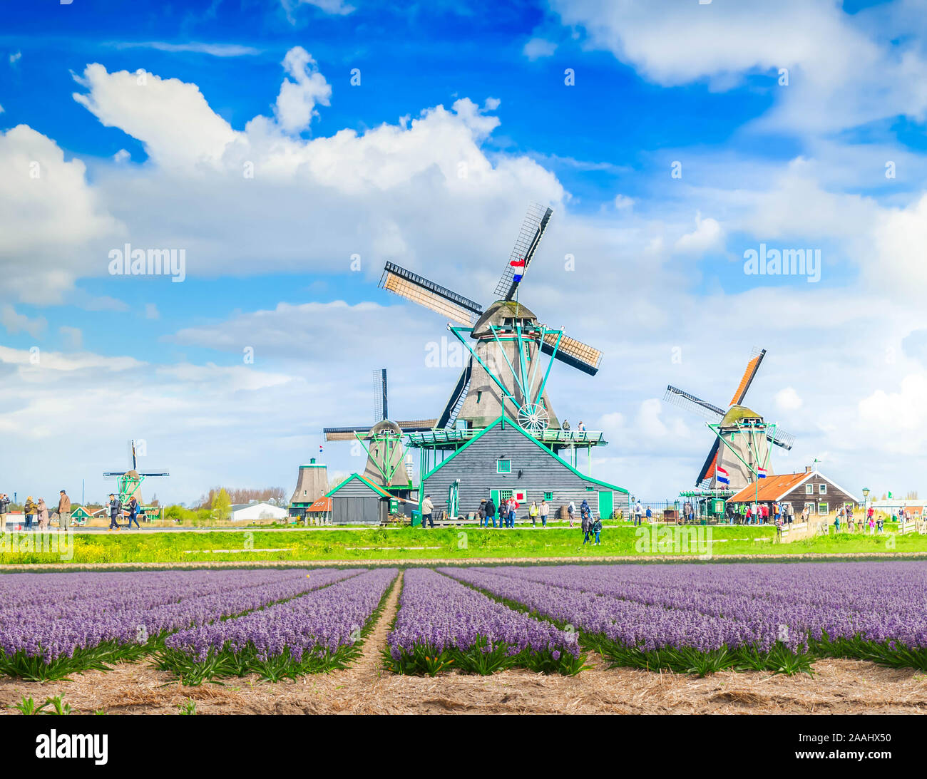 Dutch wind mills Stock Photo - Alamy