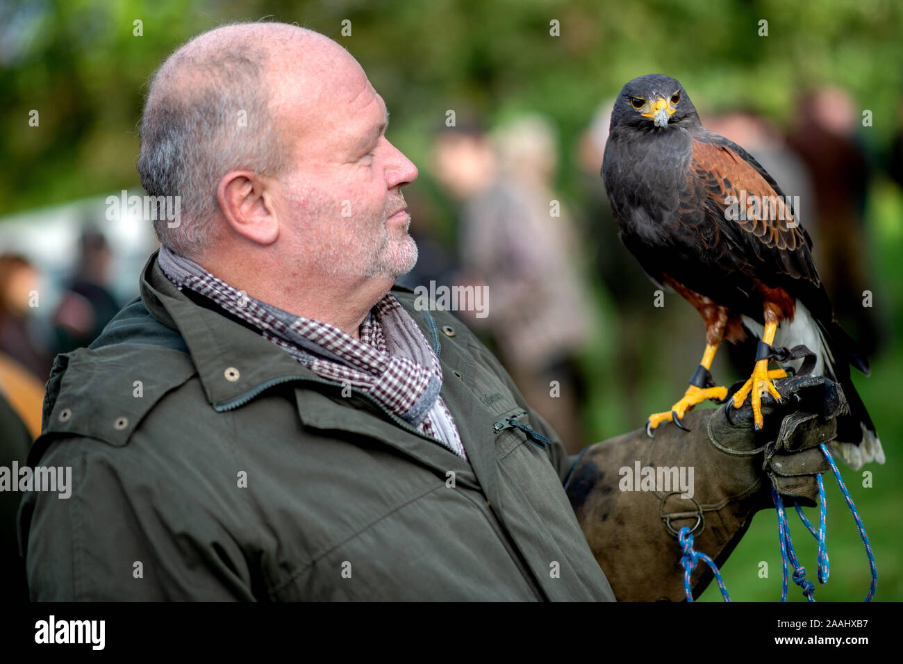 Liebenau, Germany. 26th Oct, 2019. Uwe Demmer, falconer from Fürstenau ...