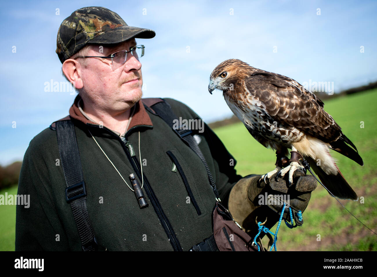 Liebenau, Germany. 26th Oct, 2019. Dirk Tepe, falconer from Alfhausen ...