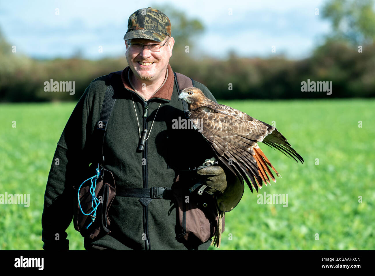 Liebenau, Germany. 26th Oct, 2019. Dirk Tepe, falconer from Alfhausen ...