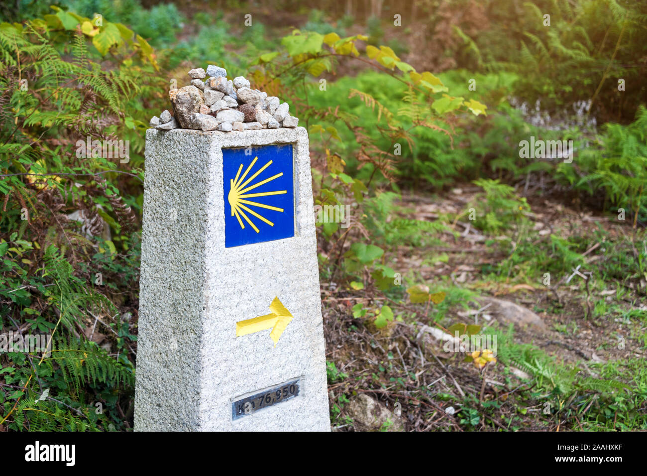 Yellow scallop shell, touristic symbol of the Camino de Santiago ...