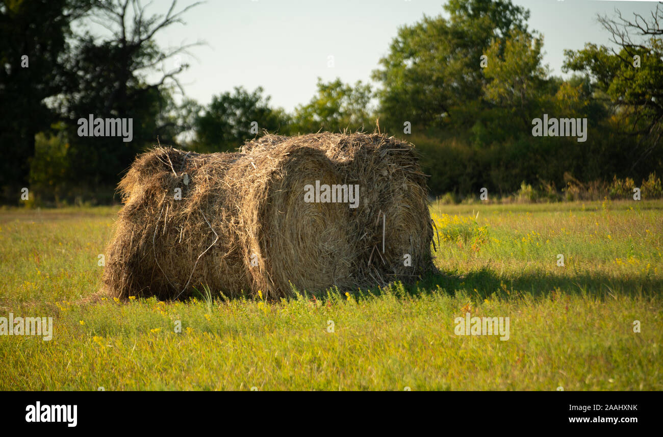 haystack on the summer field under sunshine, the food for domestic ...