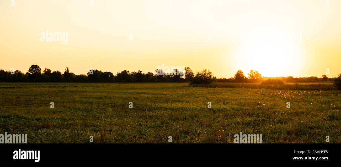 idylic summer field with grass panorama, nature landscapes during ...