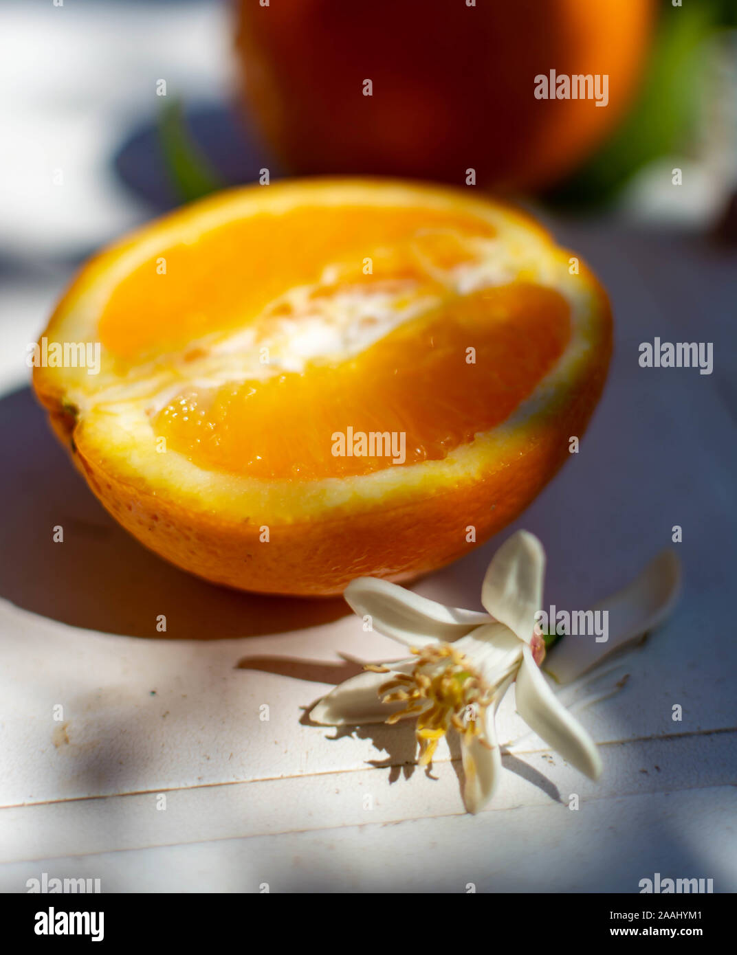 New harvest of sweet tasty organic oranges, oranges and flowers of ...