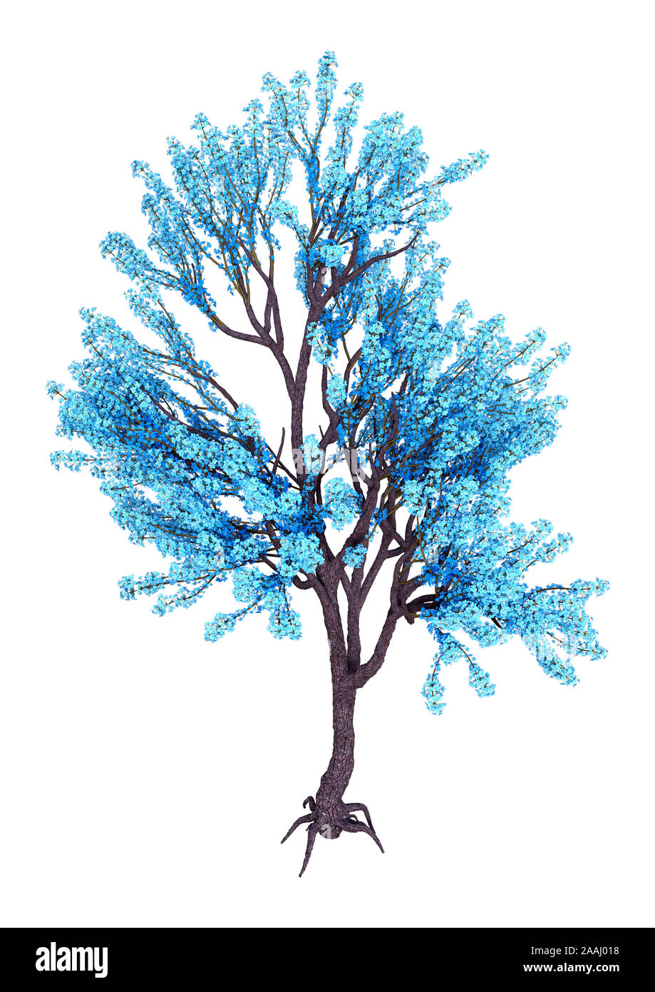 3D rendering of a blue blooming sakura tree isolated on white ...