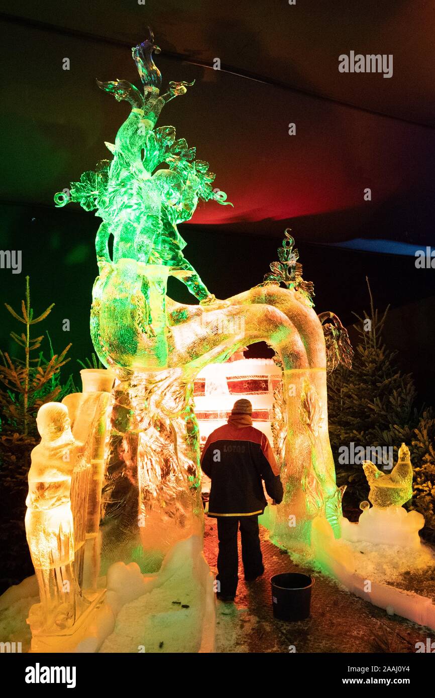 Bohnenranke hi-res stock photography and images - Alamy